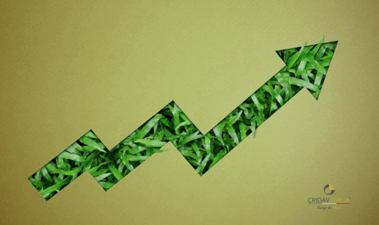 Efficienza energetica e bilancio ESG: i vantaggi per la tua impresa - Cridav Italia